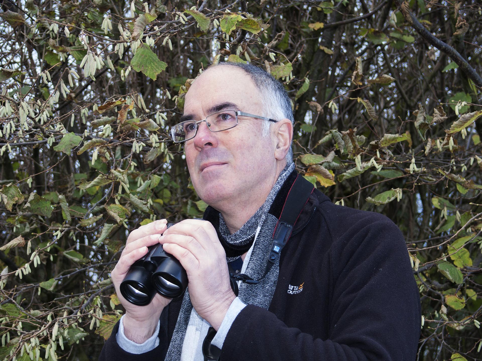 Biography - Laurence Rose