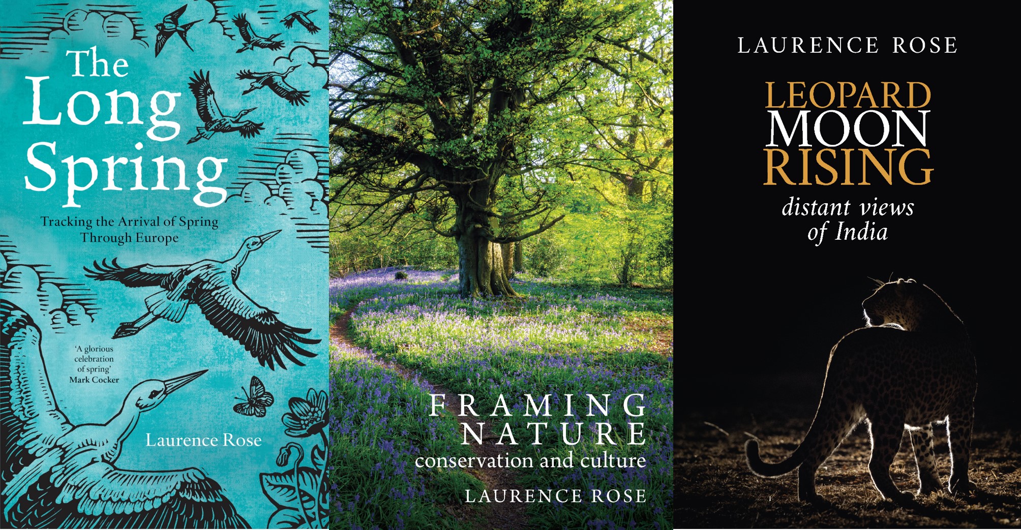 Release the leopard! - Laurence Rose